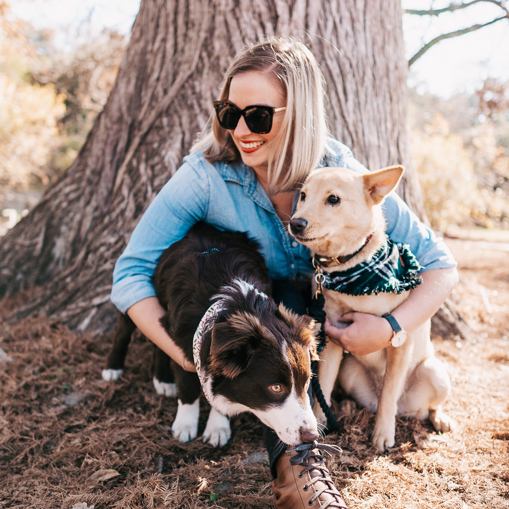 The DINK Dog Mom