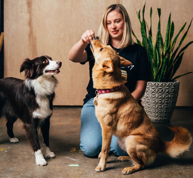 DINK Dog Mom Home - The DINK Dog Mom