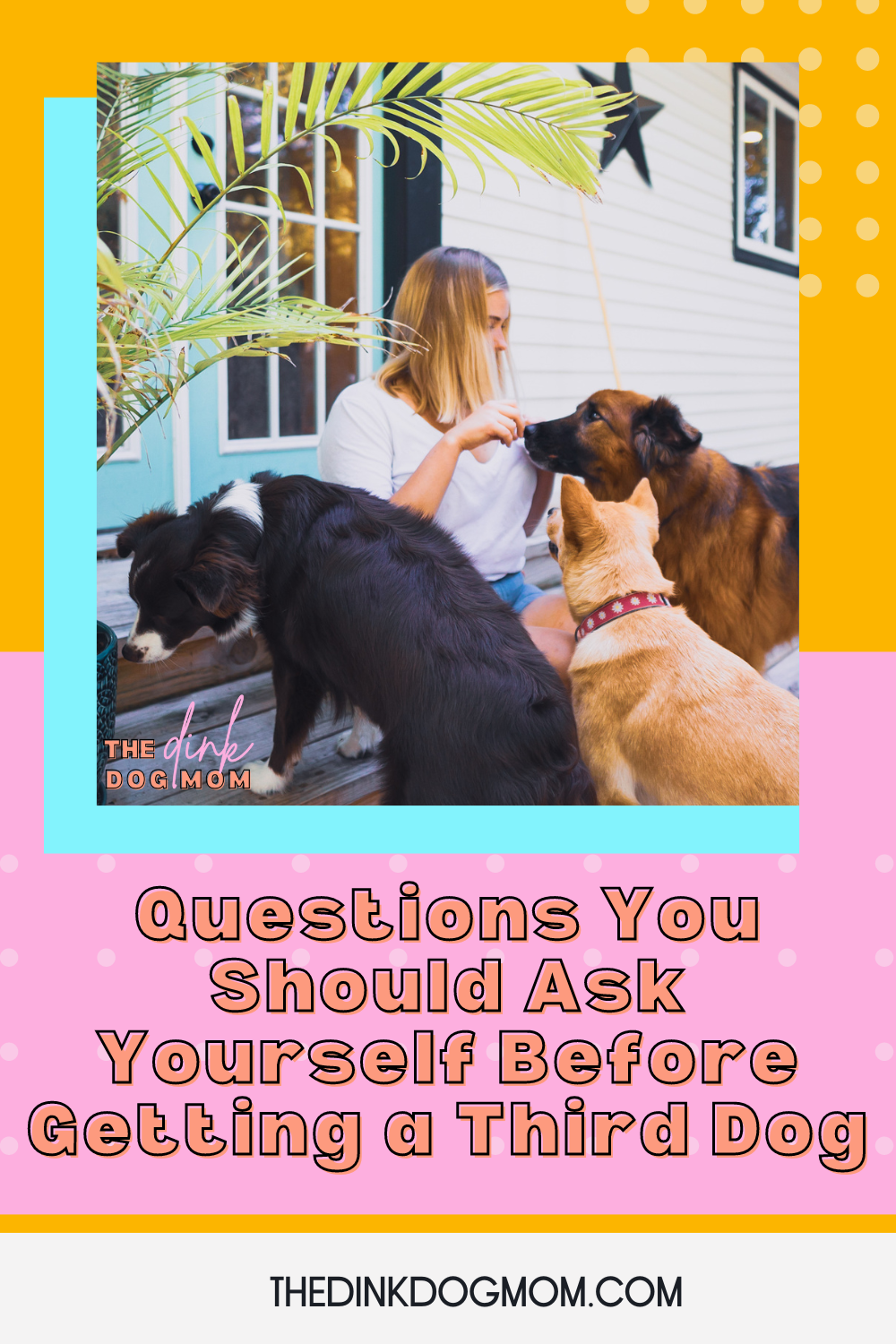 Getting a Third Dog: Yes or No? - The DINK Dog Mom